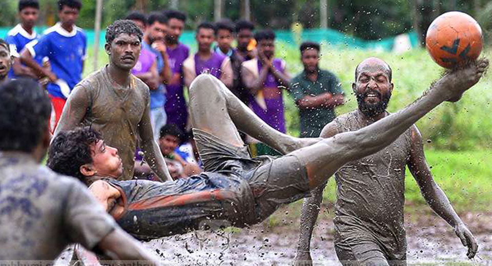 Home · Festival Information System