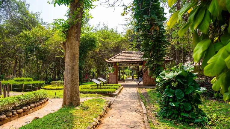 Conolly's Plot: India’s Oldest Teak Plantation in Nilambur, Kerala