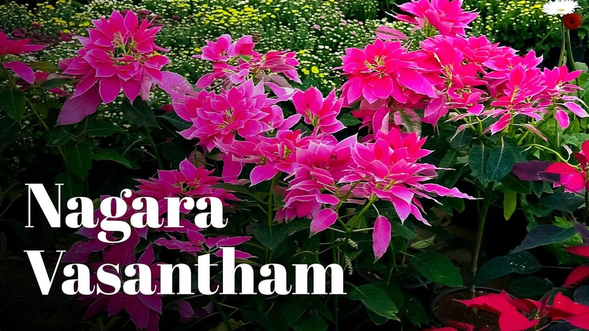 Madayipara in Kannur | Kerala Tourism