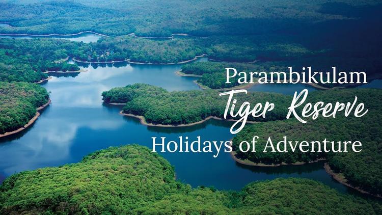Peechi-Vazhani Wildlife Sanctuary, Thrissur | Kerala Tourism