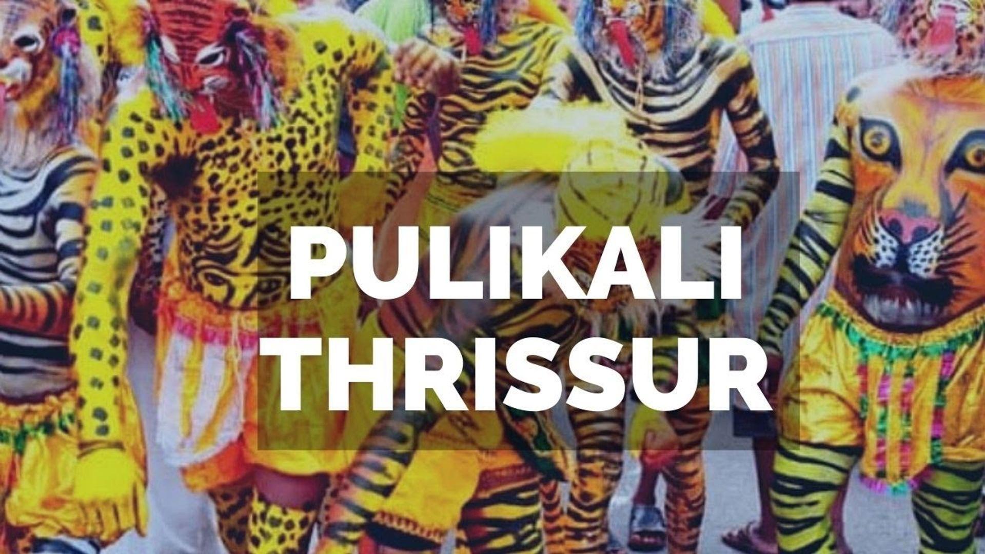 Pulikali, Swaraj Ground, Thrissur Festivals, Festivals of Kerala, India ...