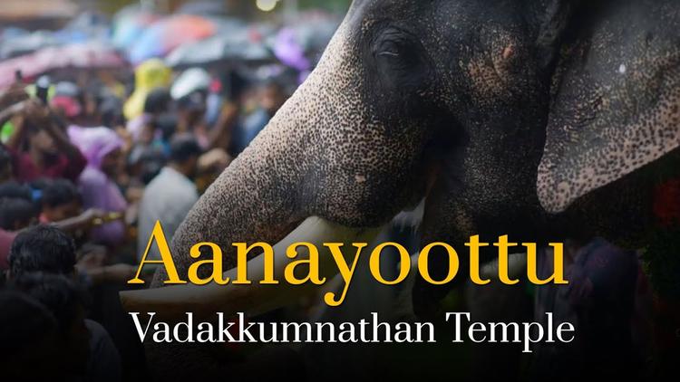 Punnathoor Kotta, Thrissur