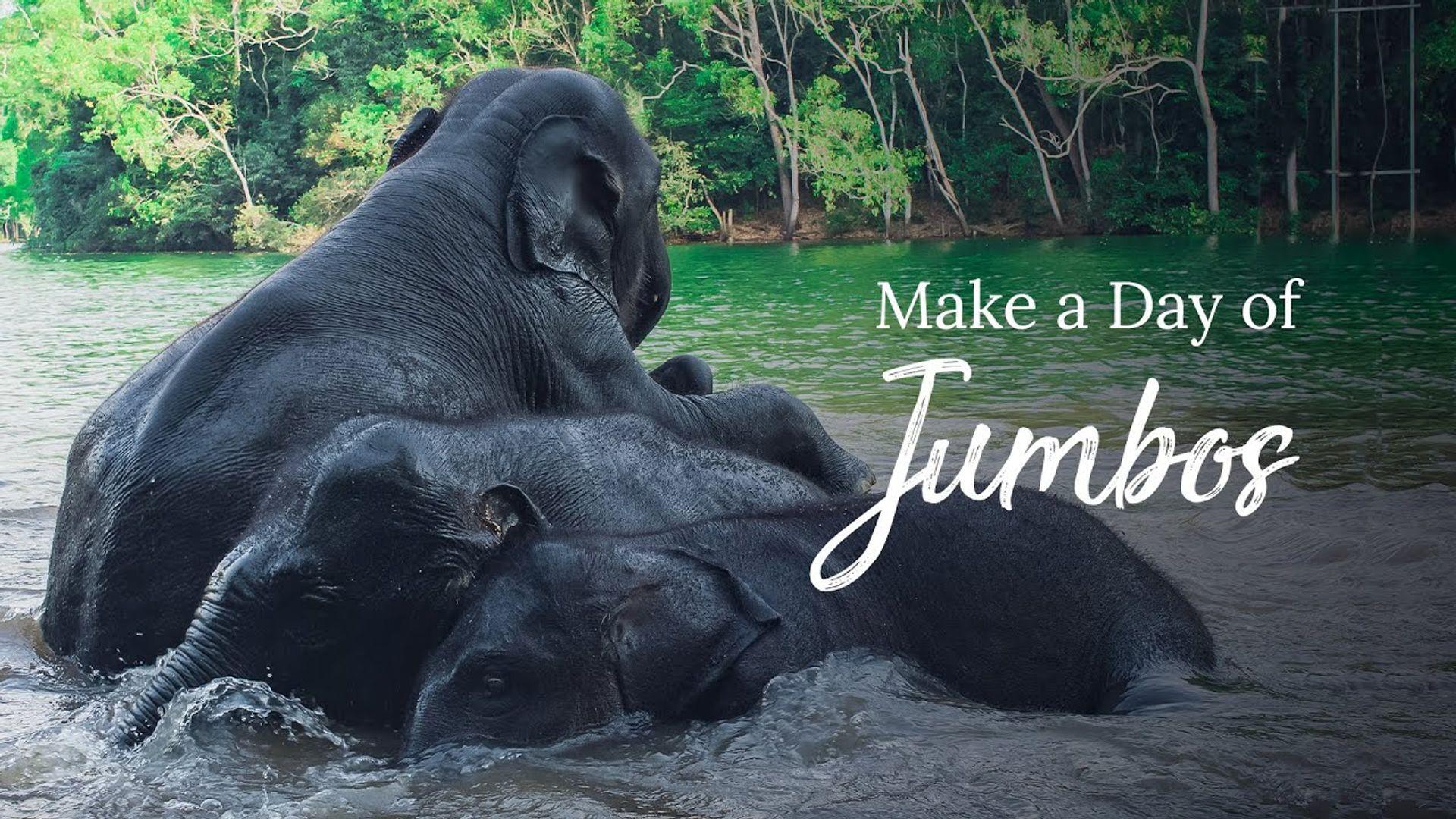 Kodanad - one of the largest elephant training centres in Kerala ...