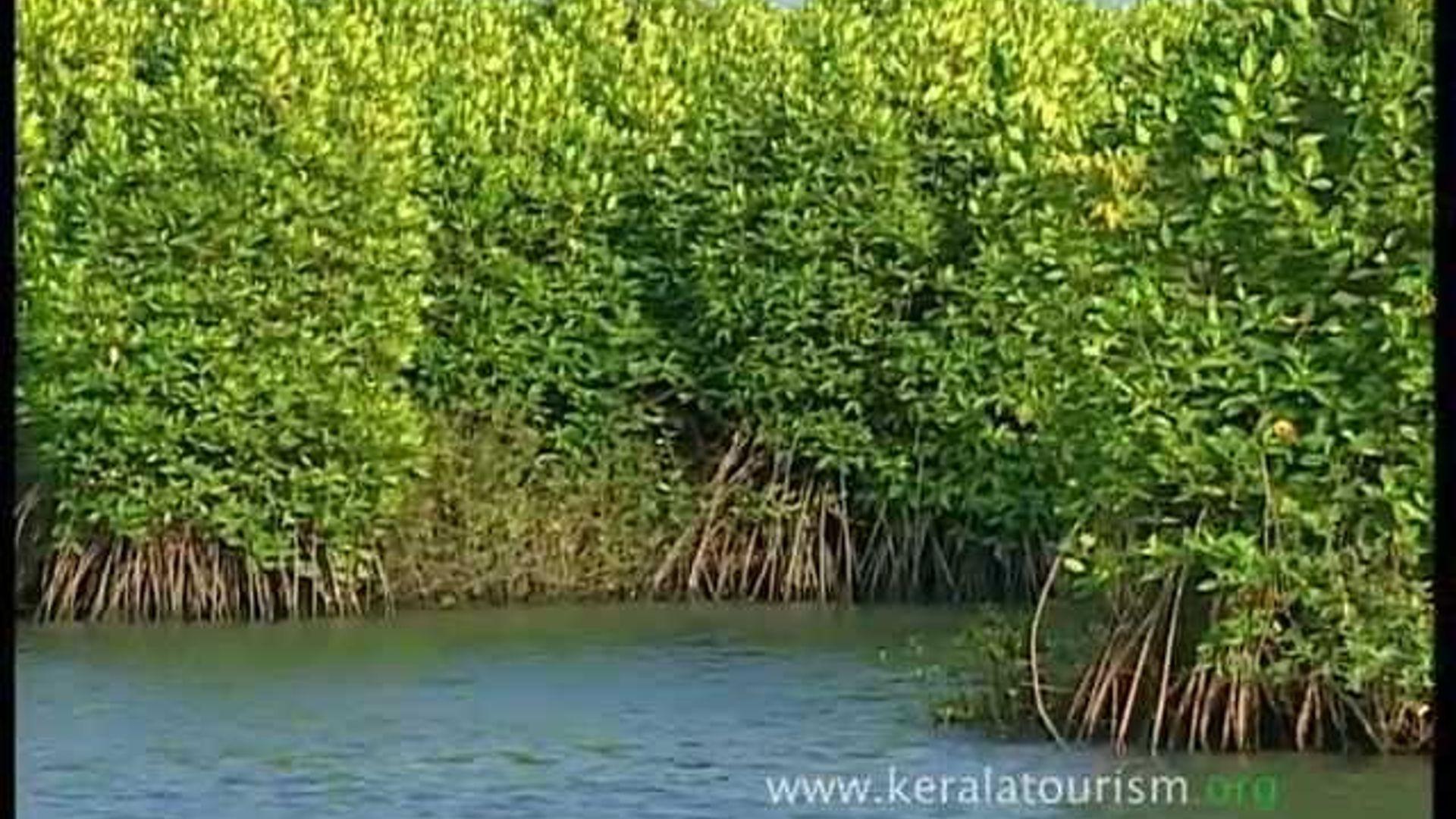 Kumarakom | Backwater Destination | Kottayam | Aqua Tourism | Vembanad ...