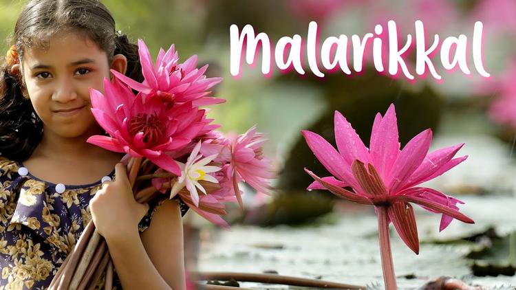 Malarickal - the magical place shaded in Pink | Backwater and Village ...