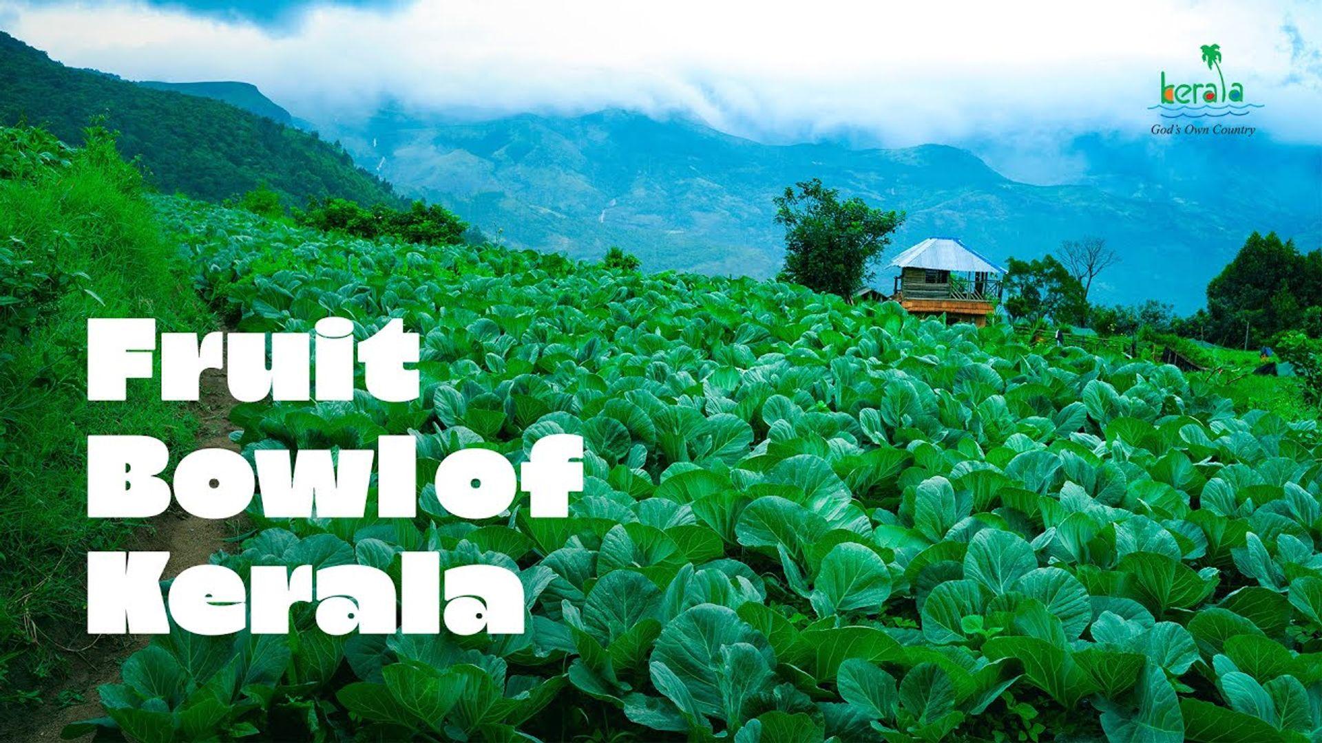 Idukki Wildlife Sanctuary in Kerala | Kerala Tourism