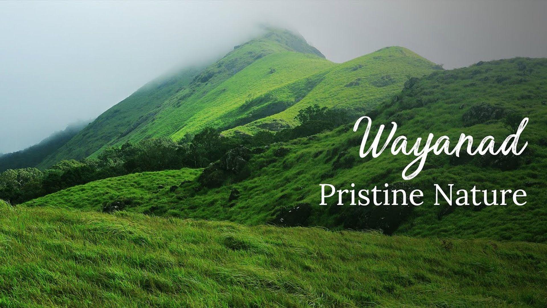 Wayanad and its tourist Attractions | Kerala Tourism