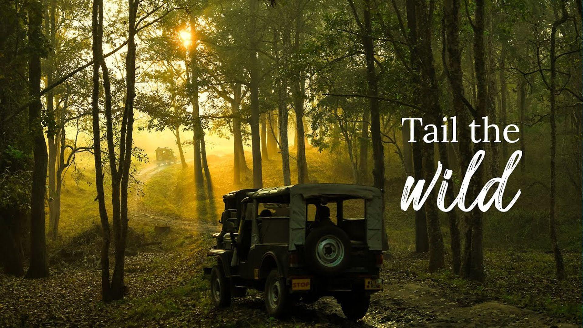 Muthanga Wildlife Sanctuary - a place to spot Elephants at Sulthan ...