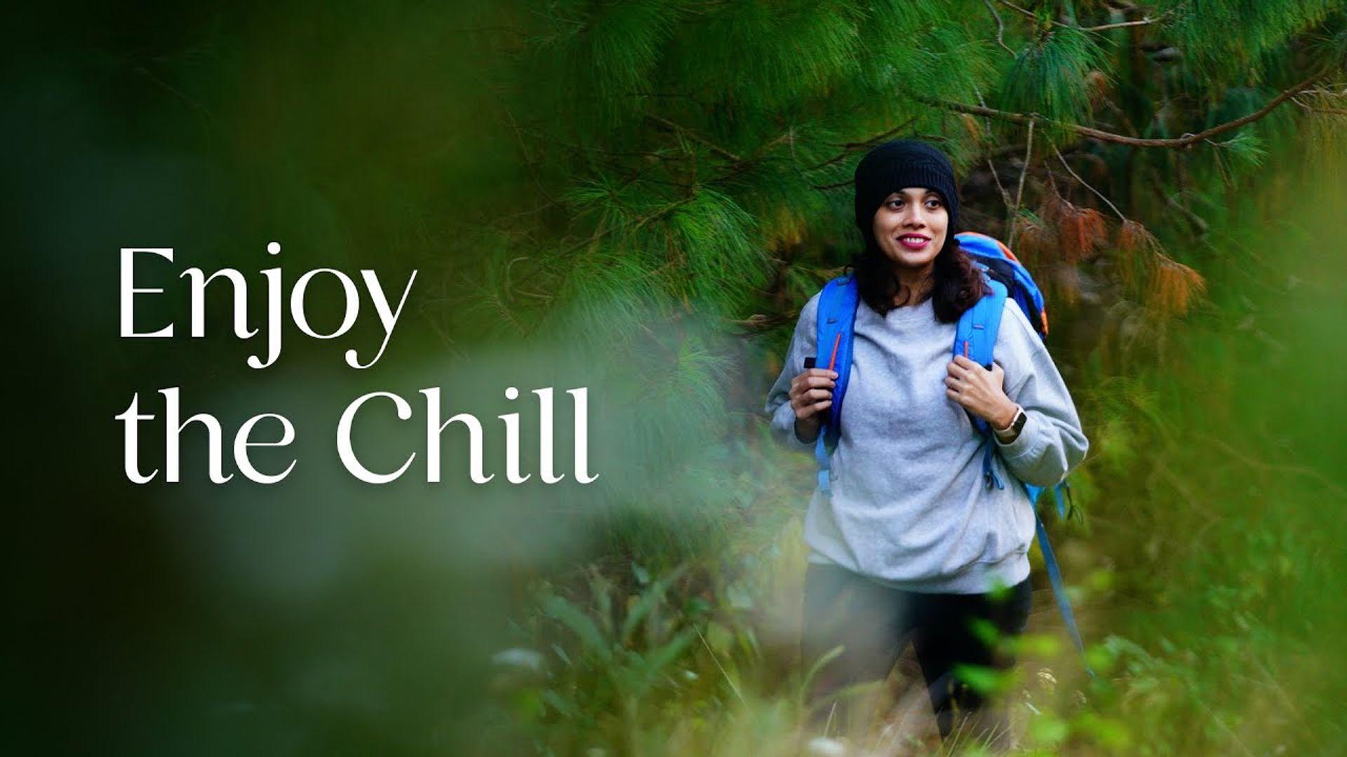 Munnar | Hill Station of Kerala in Idukki | National Park | Tea Garden ...