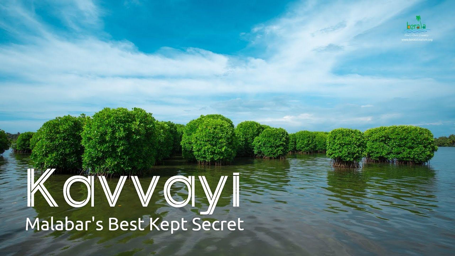 Kavvayi Backwaters - Malabar's own backwaters in Payyannur, Kannur