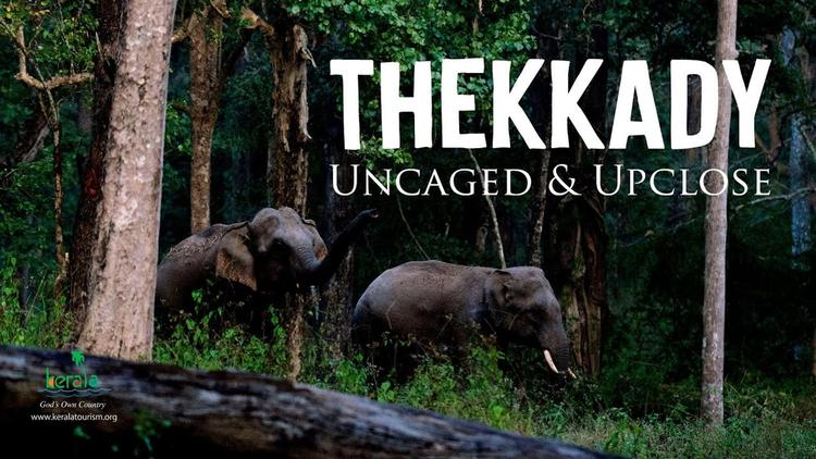 Thekkady, Periyar Tiger Reserve, Destination, Idukki