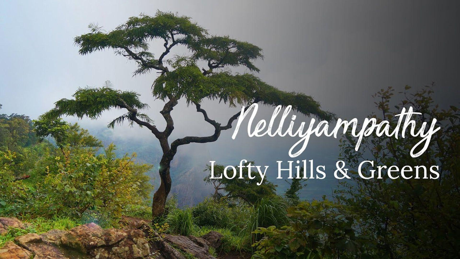 Nelliyampathy Hills, Palakkad