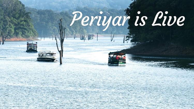 Thekkady, Periyar Tiger Reserve, Destination, Idukki