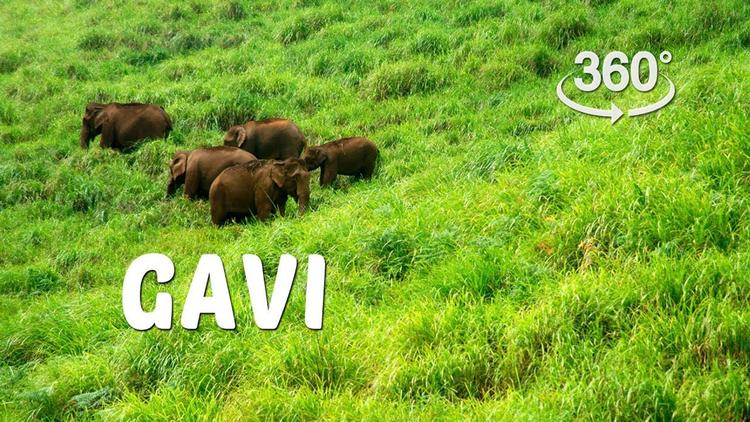 Gavi, Eco-tourism project, Pathanamthitta