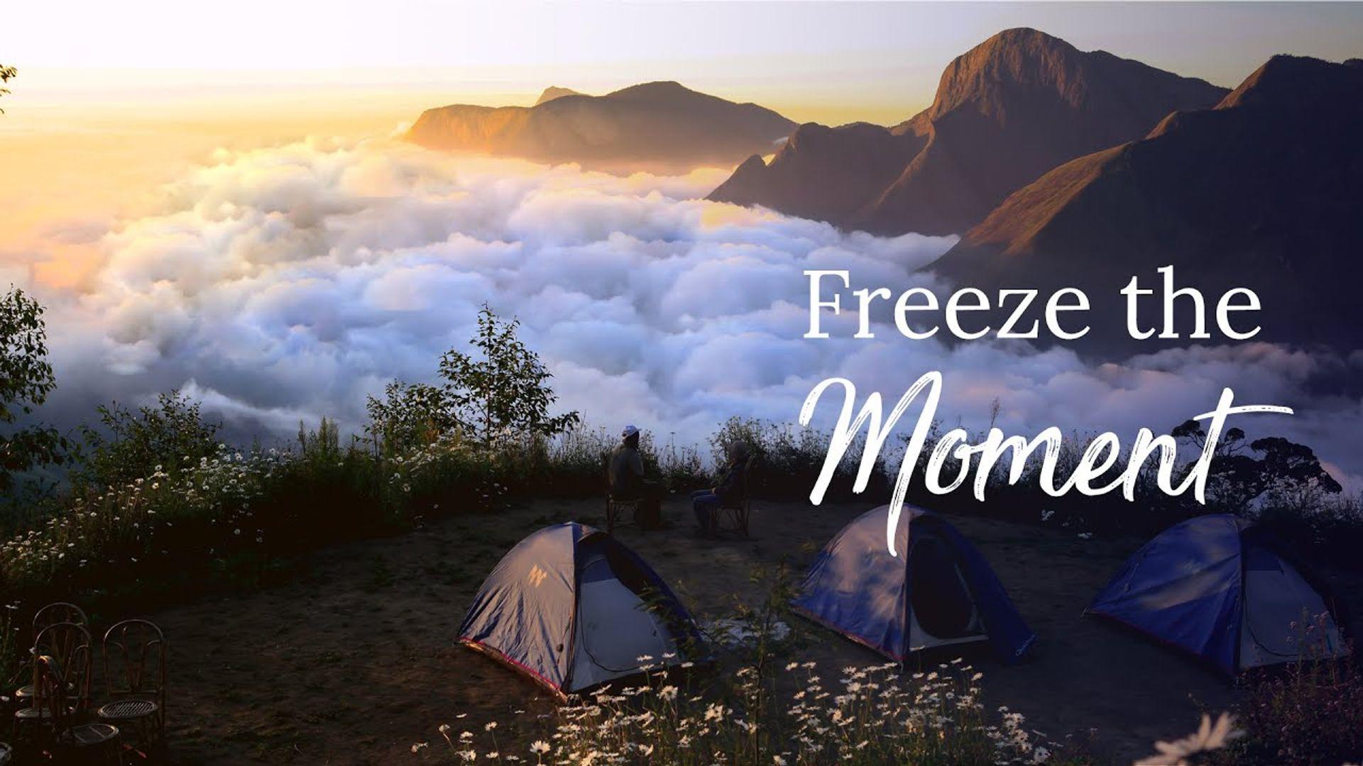 Munnar | Hill Station of Kerala in Idukki | National Park | Tea Garden ...