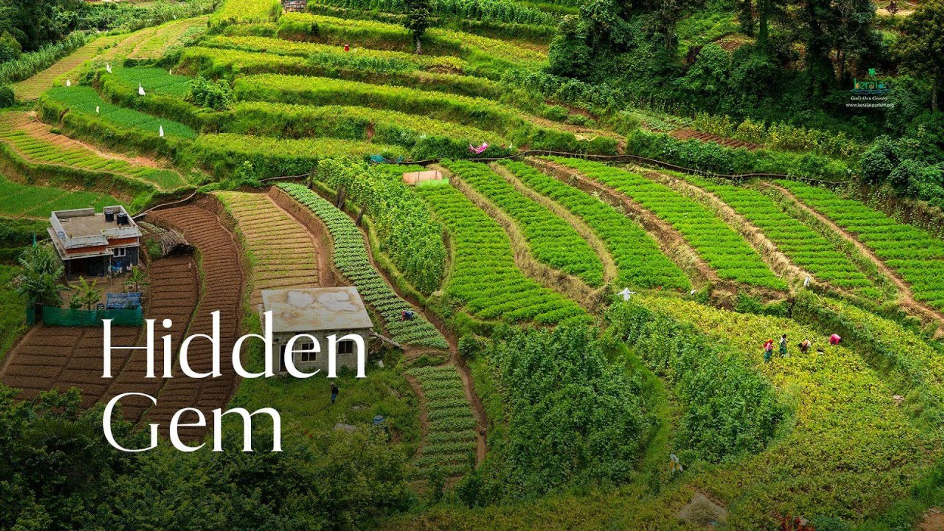 Malakkappara | Hill Station | Parambikkulam Tiger Reserve | Anamalai ...