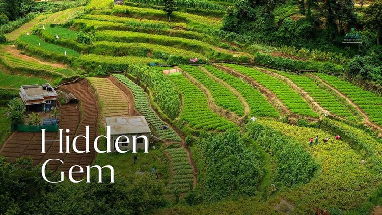 Vattavada, Hill station, Munnar, Idukki | Kerala Tourism