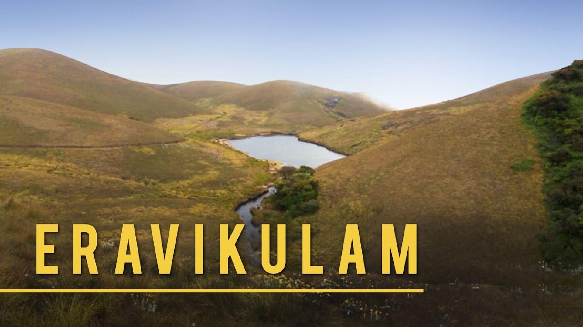 Mangalavanam Bird Sanctuary