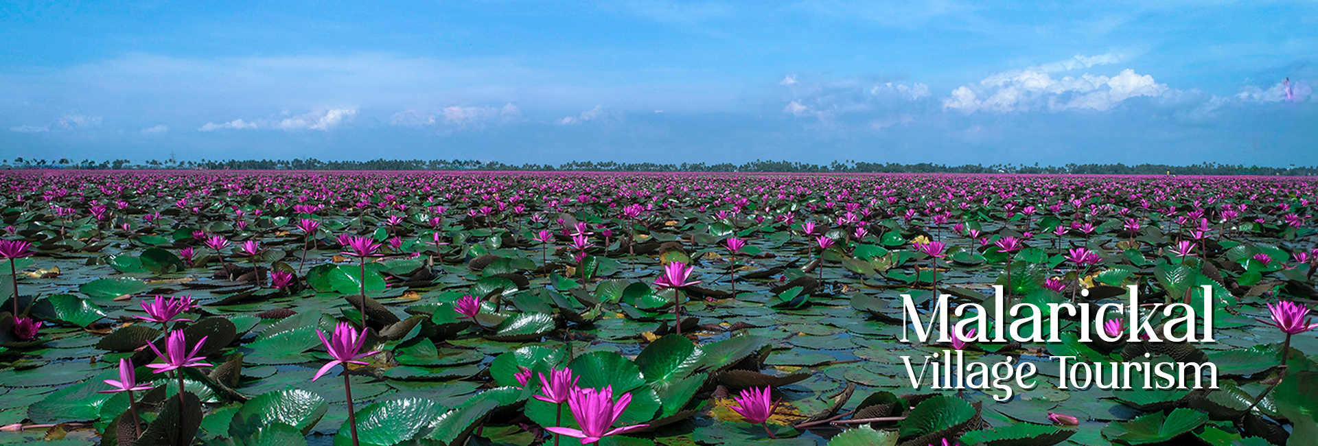 Welcome to Kerala Tourism - Official Website of Department of Tourism ...