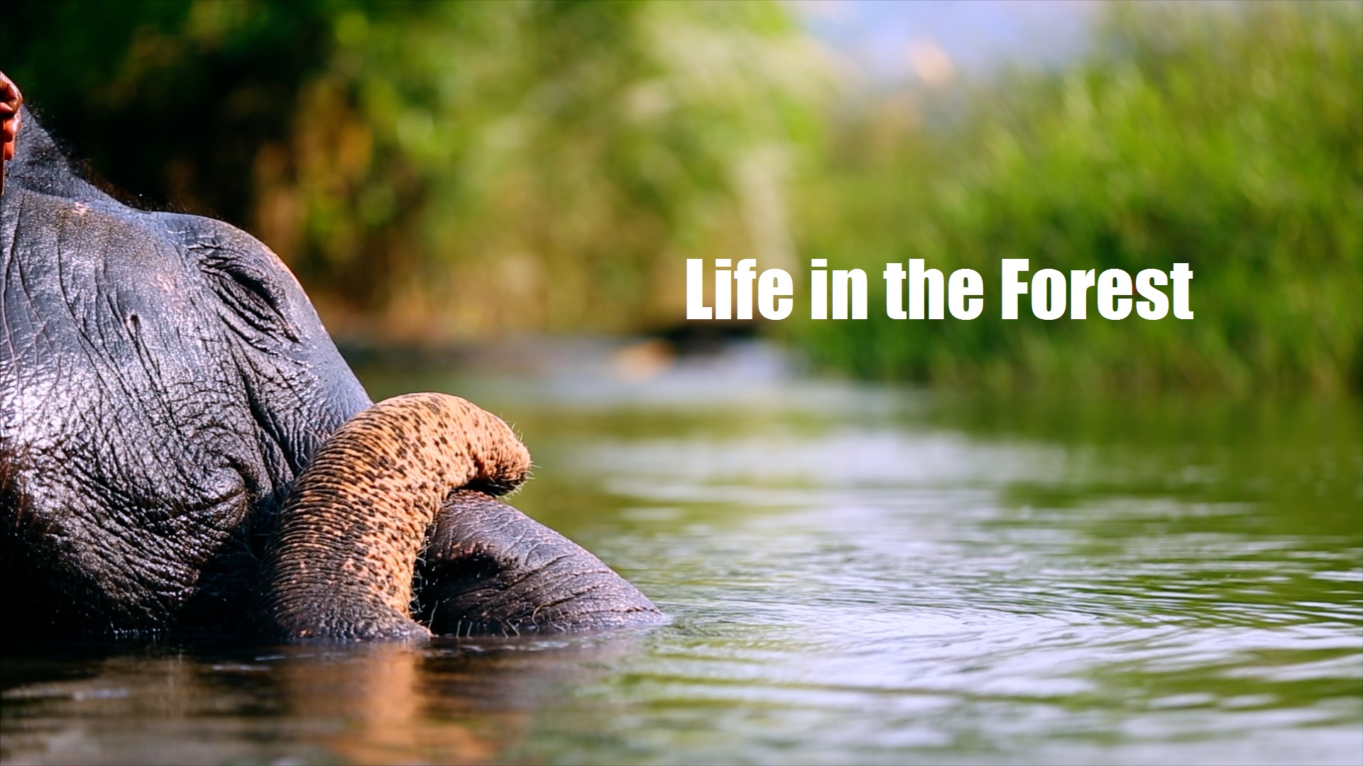 Welcome to Kerala Tourism - Official Website of Department of Tourism ...