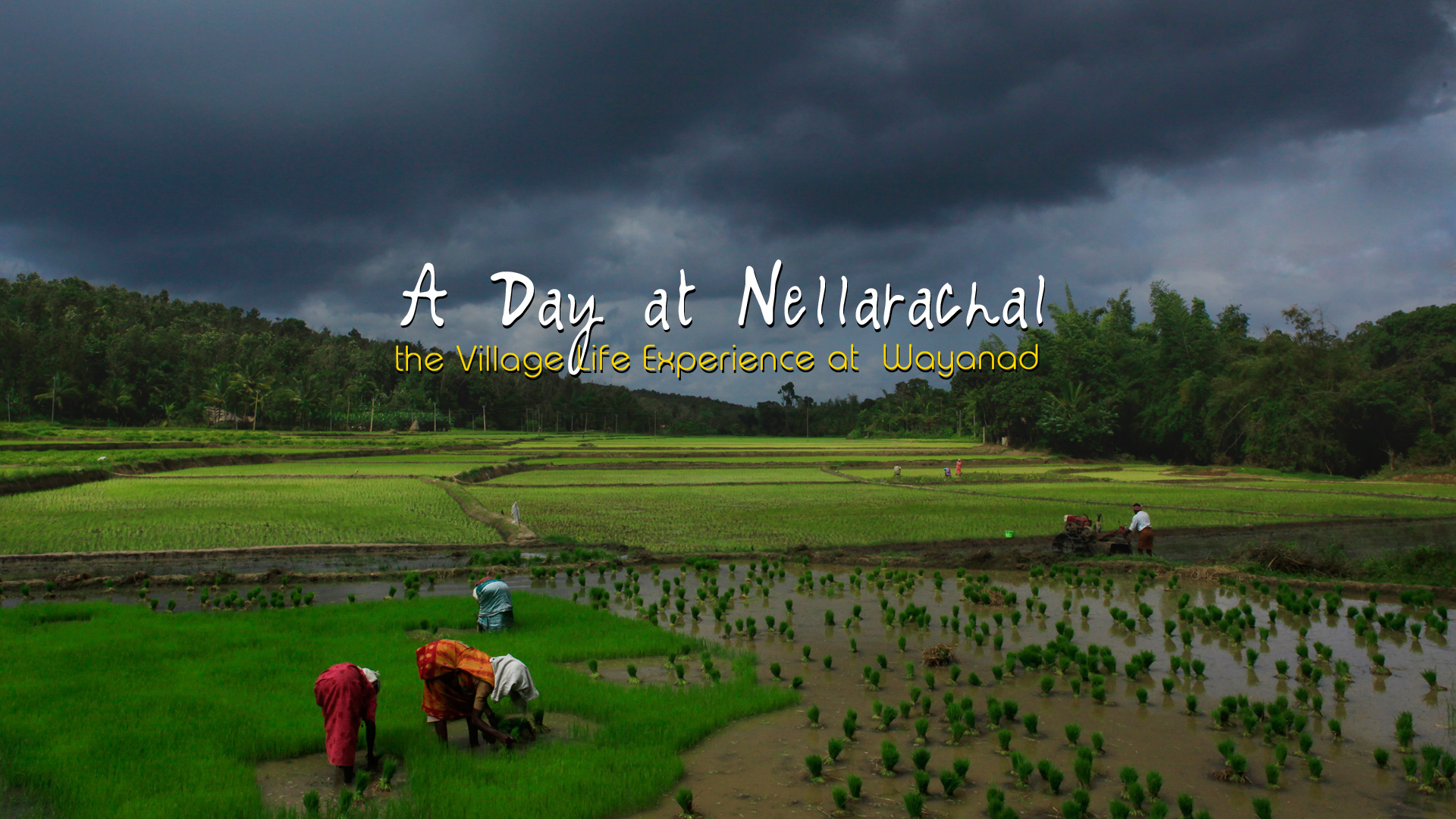 Welcome to Kerala Tourism - Official Website of Department of Tourism ...