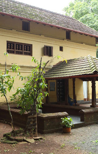 Nilambur Teak Plantations, Malappuram | Kerala Tourism