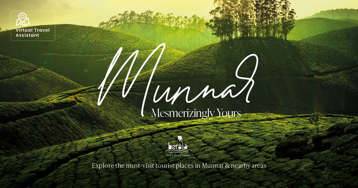 Munnar, Mesmerisingly Yours | Virtual Travel Guide | Must Visit Places ...
