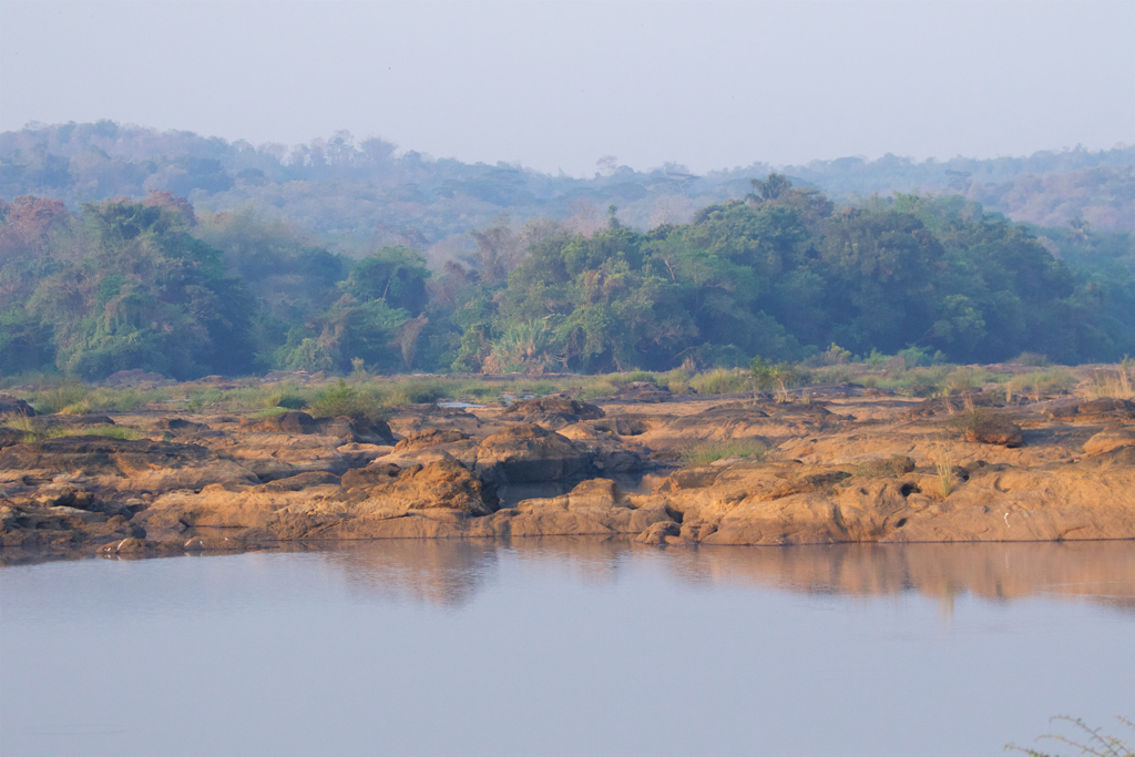 A view of Periyar River