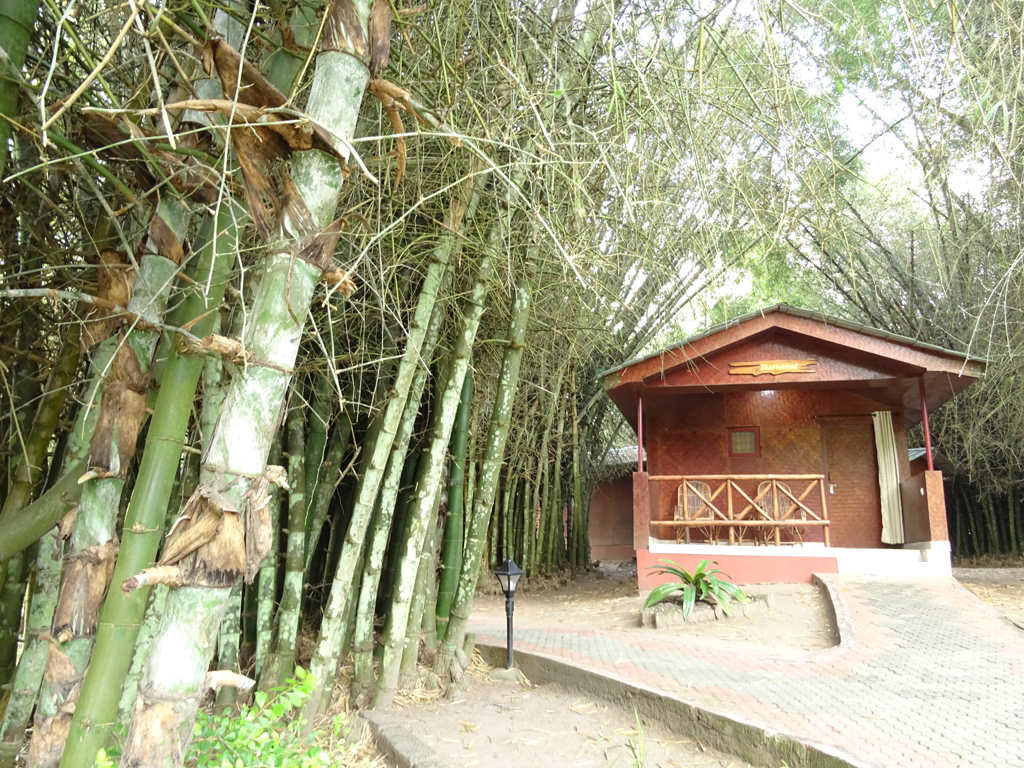 Thattekkad hut at Periyar