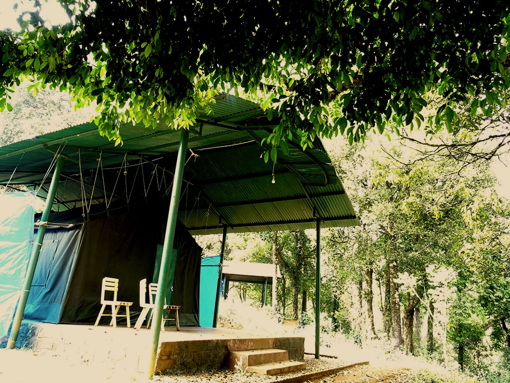 Gavi Eco tourism programmes | Trekking programmes in Kerala