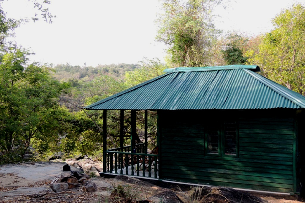 A Jungle trek to Thoovanam falls at Chinnar| Trekking Packages Thrissur ...