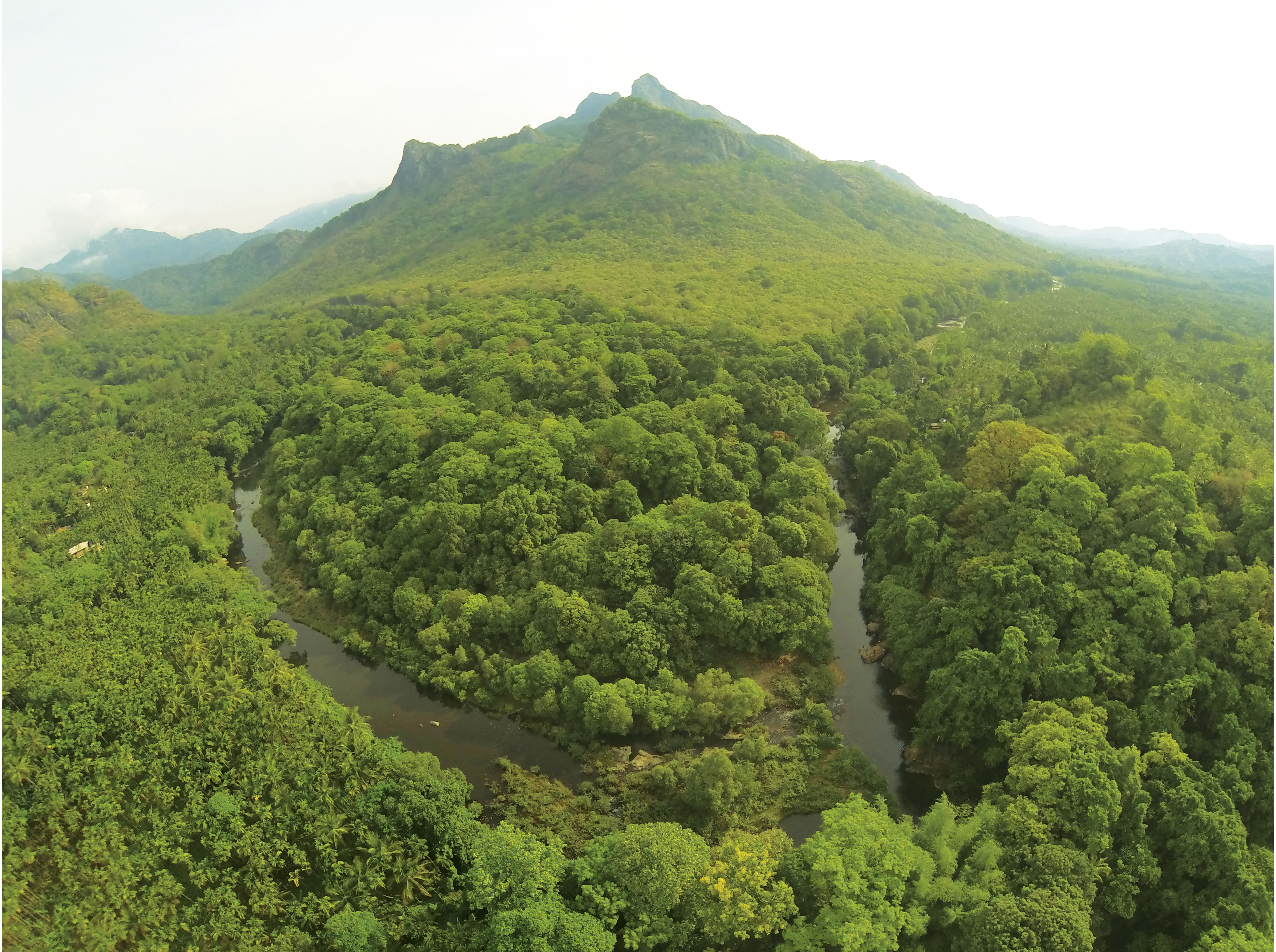 Explore the Eco-Tourism Packages of Silent Valley National Park ...