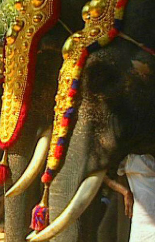 Traditional festivals of Kerala | Kerala Tourism