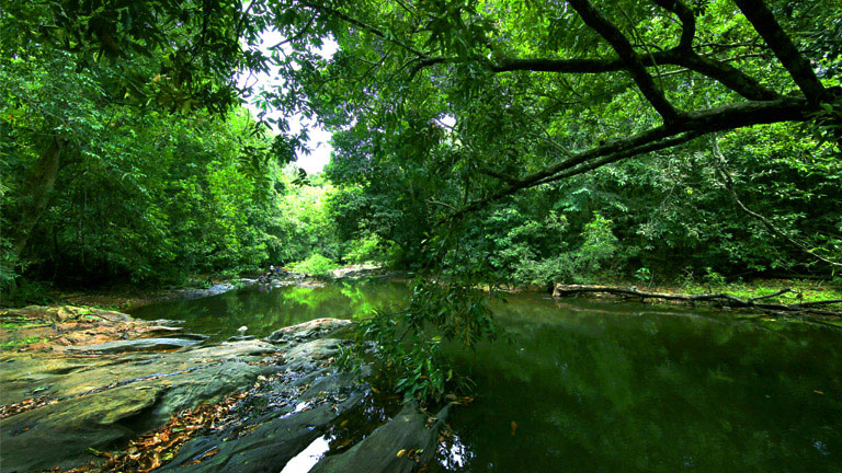 Welcome to Kerala Tourism - Official Website of Department of Tourism ...