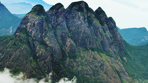 Welcome to Kerala Tourism - Official Website of Department of Tourism ...