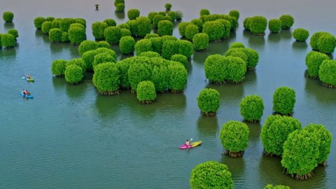 Welcome to Kerala Tourism - Official Website of Department of Tourism ...