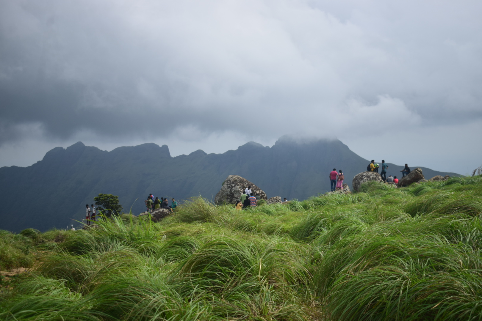 Trekking and Ponmudi Hills | Picture of Month September 2019 | Kerala ...