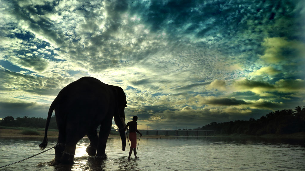 Bharathapuzha - Lifeline of Kerala | Rivers of Kerala | Nature | Kerala ...