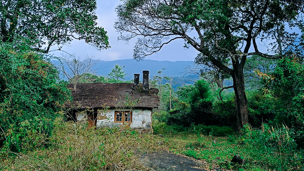 Bonacadu Image | Kerala Photography | Kerala Tourism