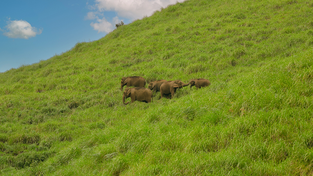 Gavi | Pathanamthitta Tourist Places | Kerala Photography | Kerala Tourism