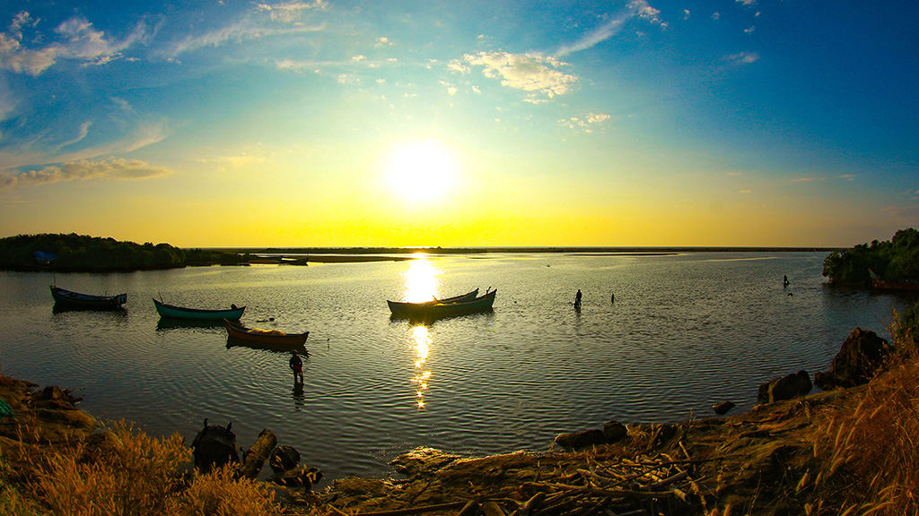 Kumbla Mangrove Forest | Biodiversity Spot | Tourist Places in ...