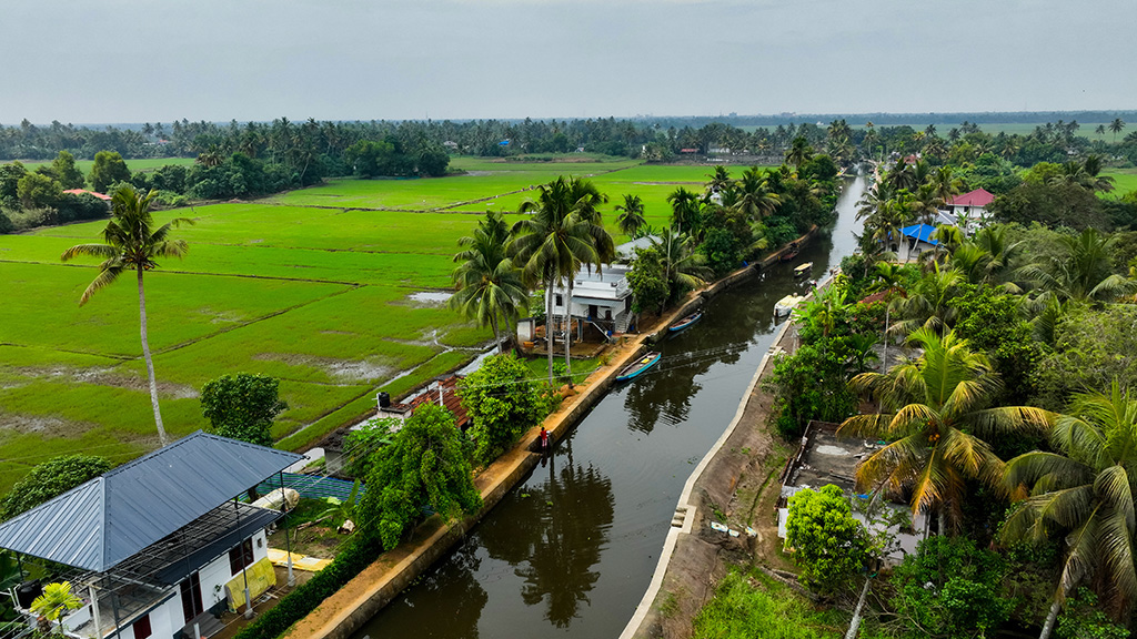 Kuttanad Photo | Kerala Images | Kerala Tourism