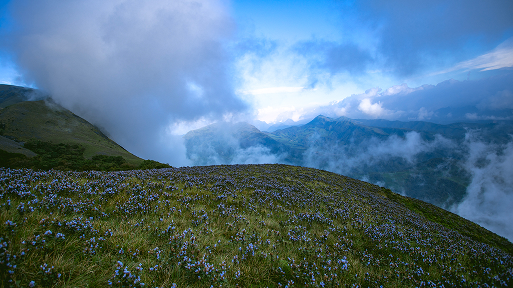 Rajamala Hills | Idukki Images | Kerala Photography | Kerala Tourism