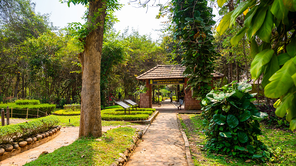 Teak Museum | Nilambur | Tourist Places in Malappuram | Kerala Tourism