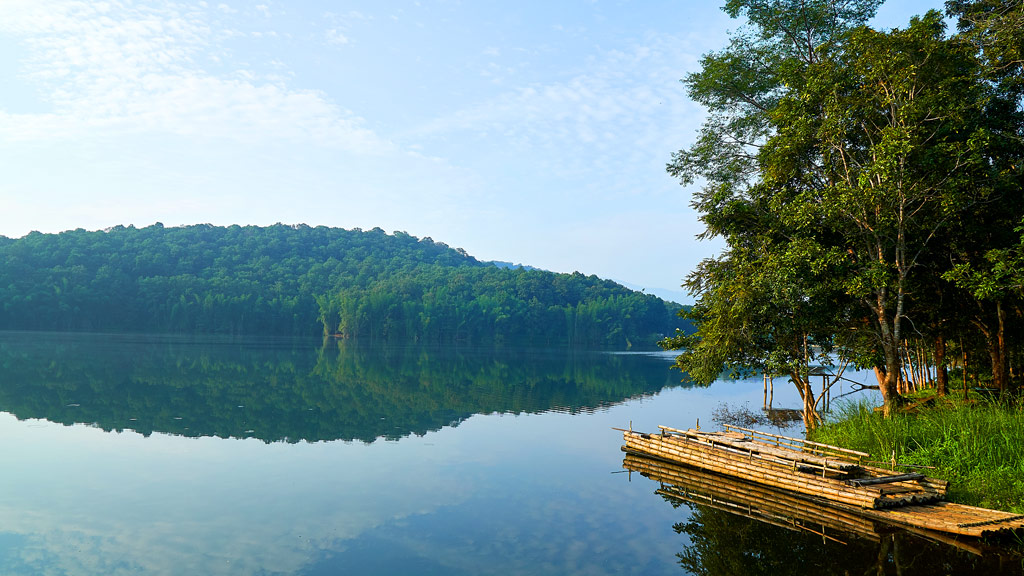Parambikulam Tiger Reserve, Palakkad | Kerala Tourism