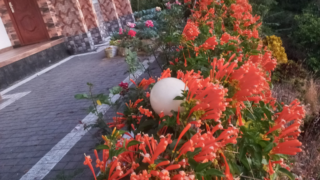 Cicada Symphony | Where to Stay | Kerala Tourism