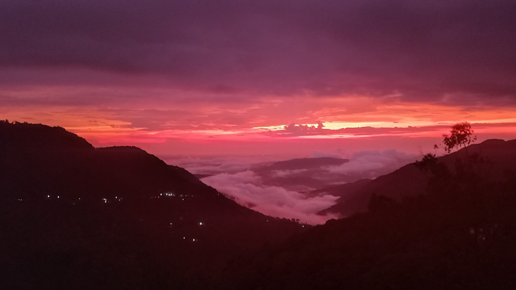 Cicada Symphony | Where to Stay | Kerala Tourism