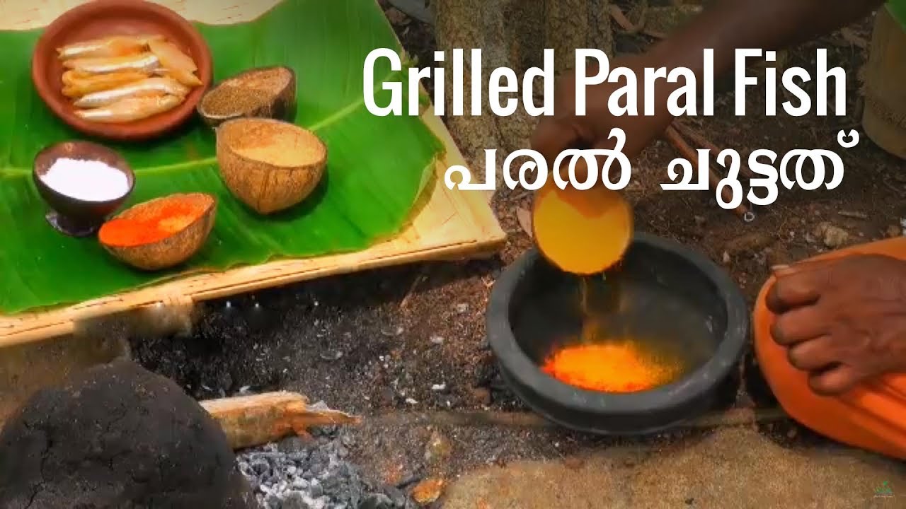 How to cook Paral Chuttathu or Grilled Paral fish curry, Tribal Cuisine ...