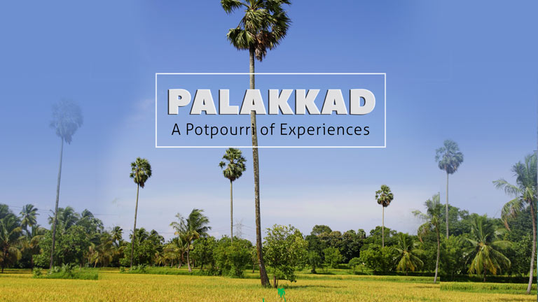 Palakkad, A Potpourri of Experiences| E Brochures | Tourist Places In ...