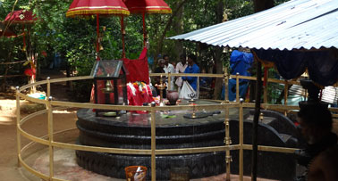Kalleli Oorali Appooppankaavu, Monsoon festival